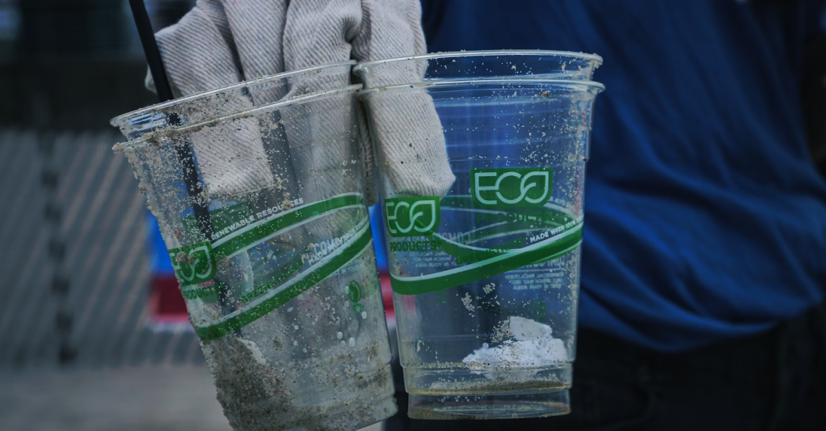 Greenwashing | Nação Fluente